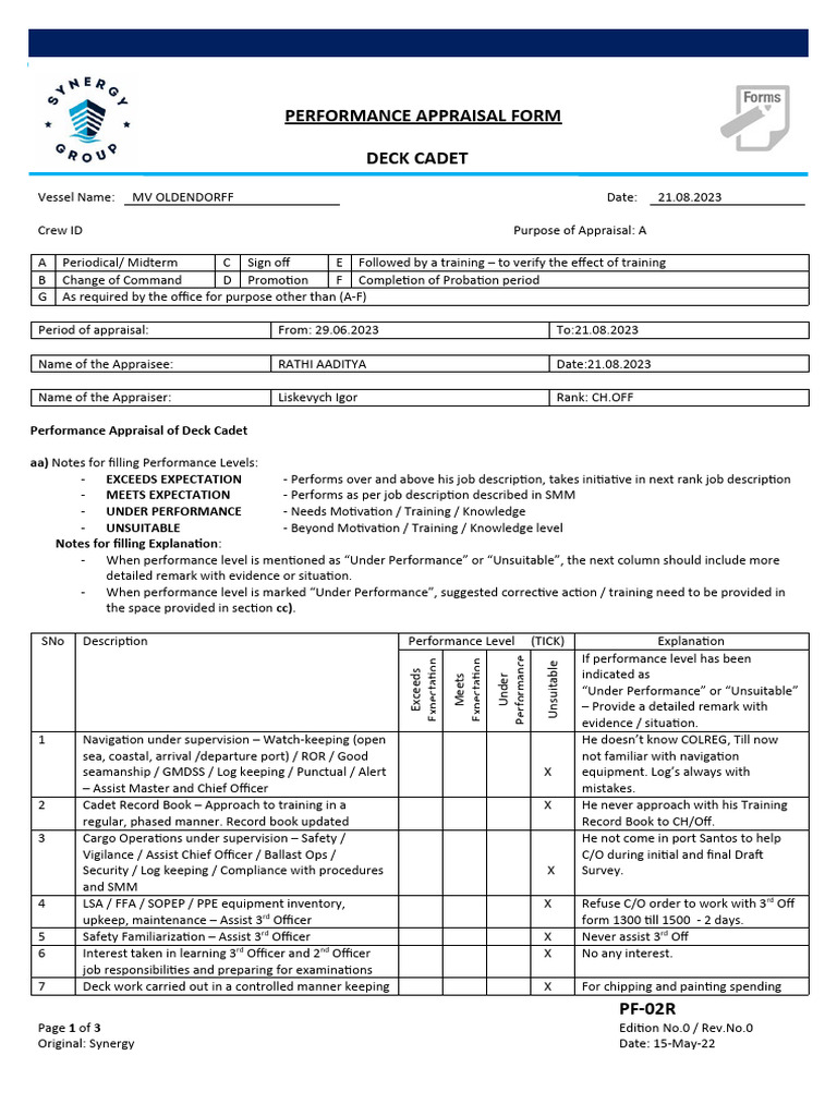 NEO PIR - Answer Sheet | PDF