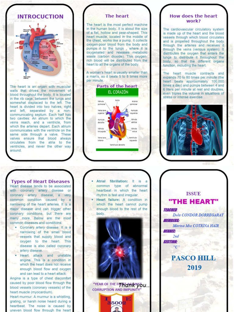 Heart Triptych | PDF | Heart | Atrium (Heart)