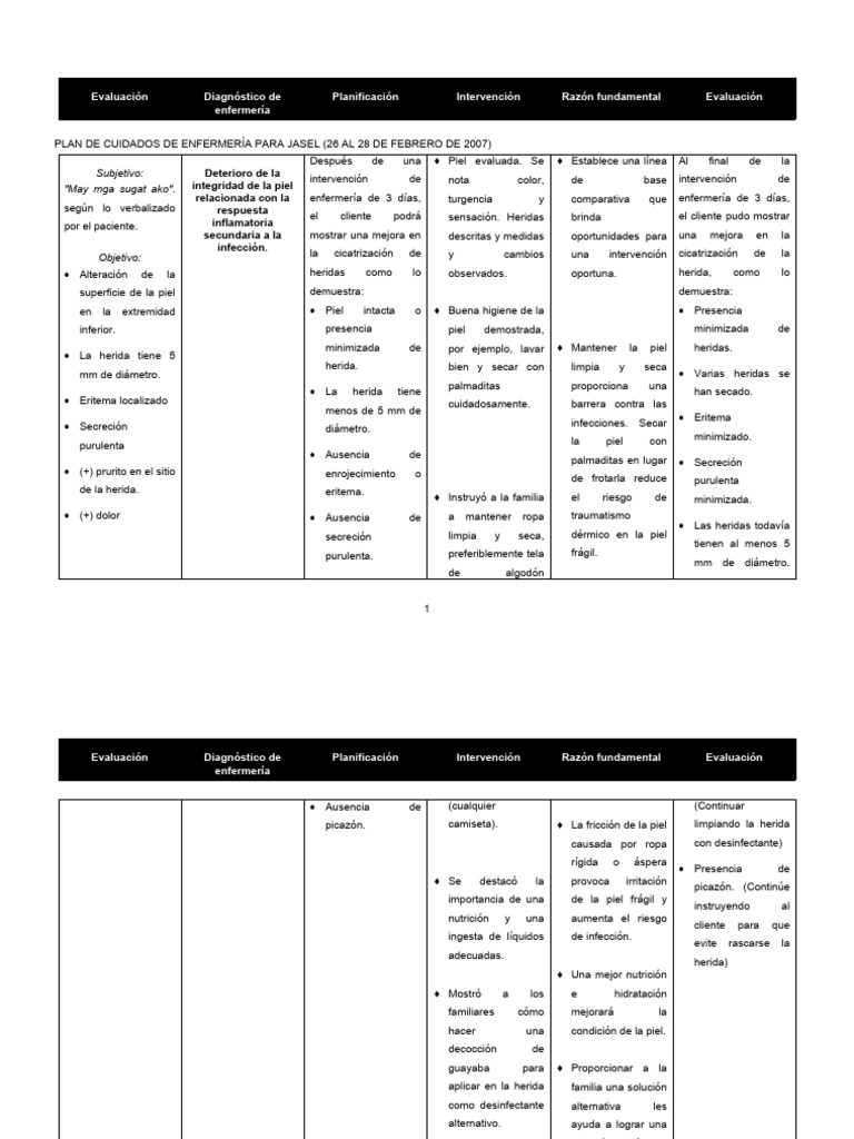 Plan de Cuidados de Enfermería (Integridad de La Piel Deteriorada) | Descargar gratis PDF ...