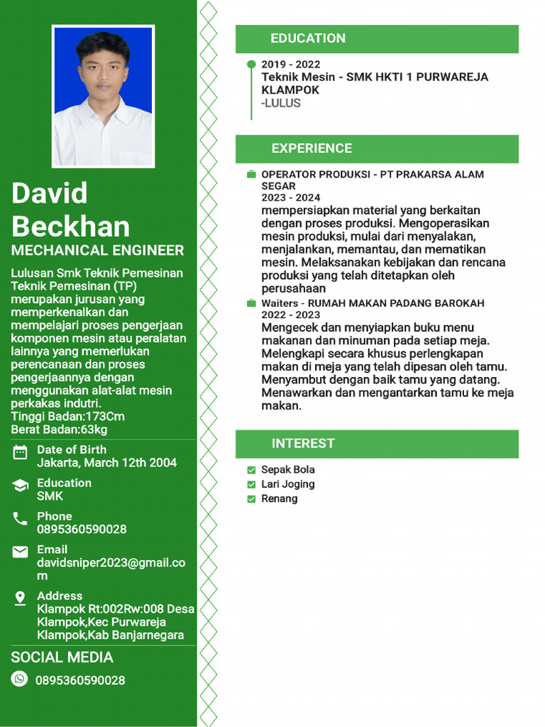 CV David Beckhan | PDF