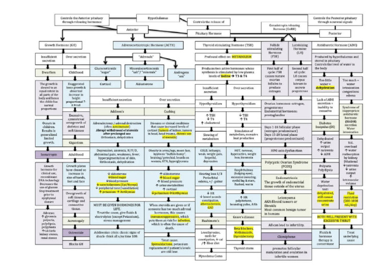 Hormone Chart | PDF