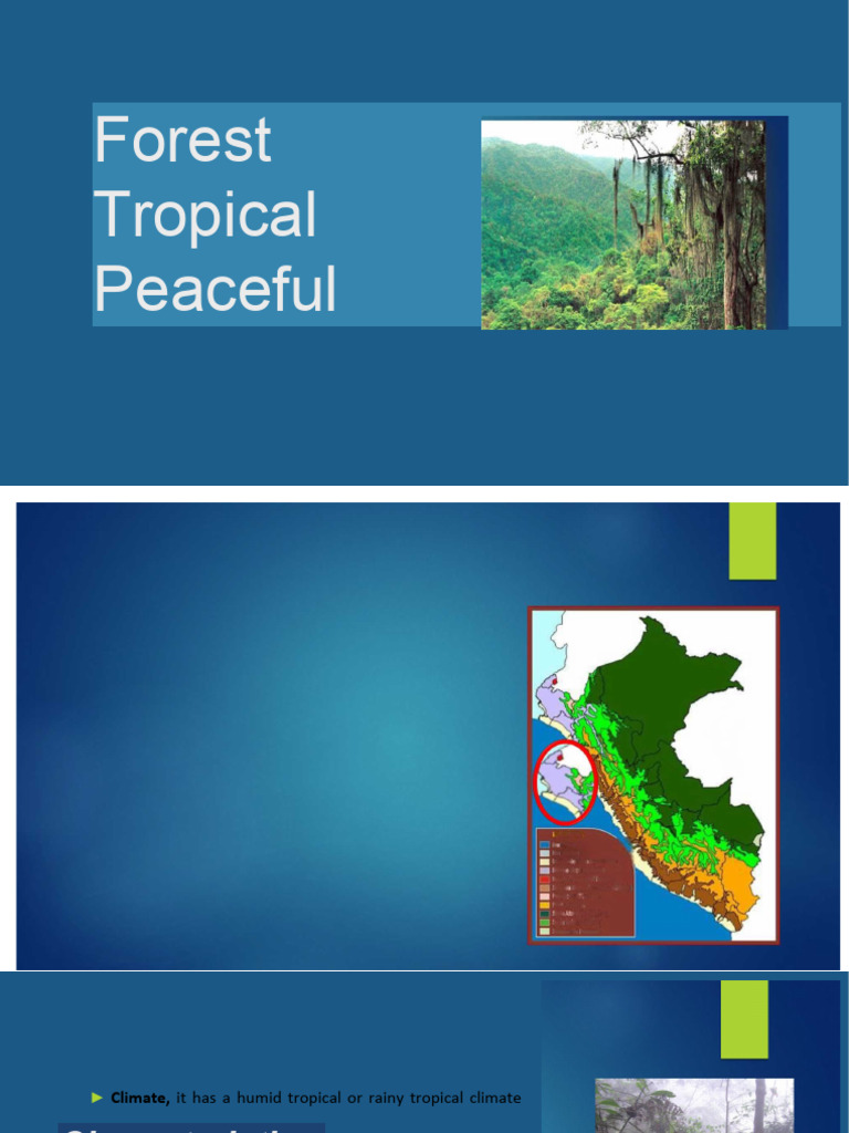 Pacific Tropical Forest Pdf Tropics