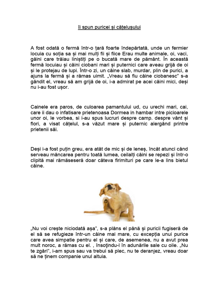Povestea Puricii Și Câinelui | PDF