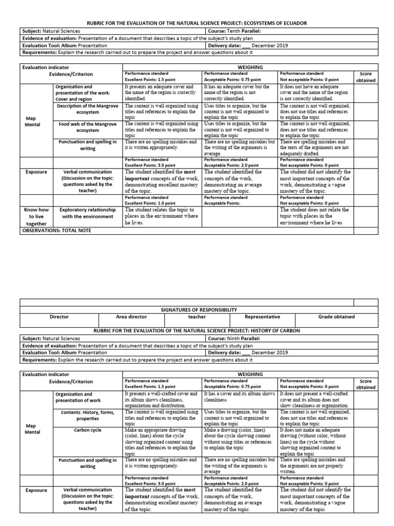 Rubric For The Evaluation of The Natural Sciences Project | Download ...