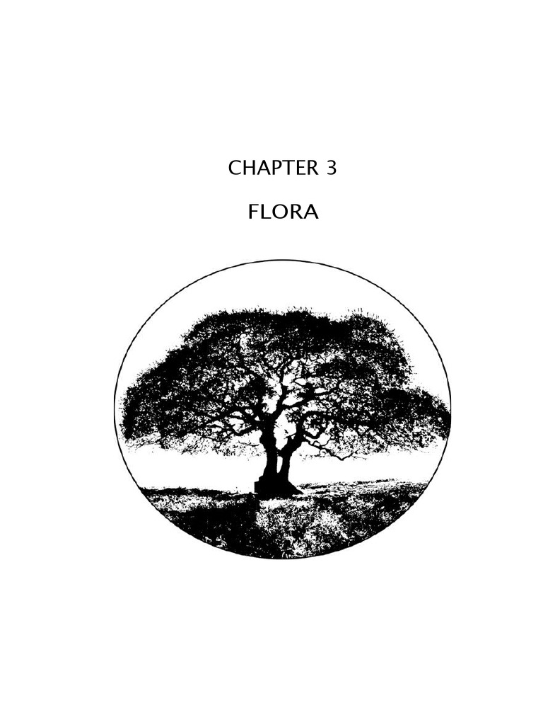 Flora | PDF | Fir | Pine