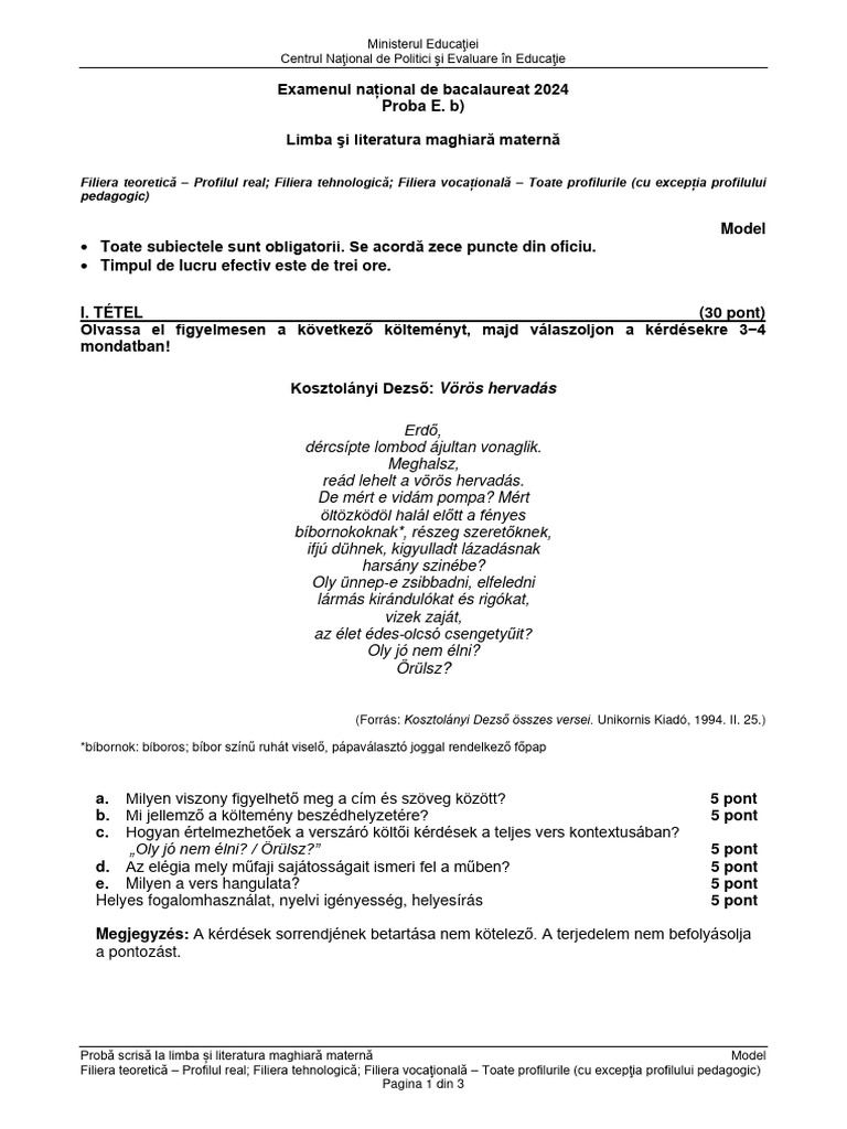 E B Limba Maghiara Materna Real Tehn 2024 Var Model | PDF