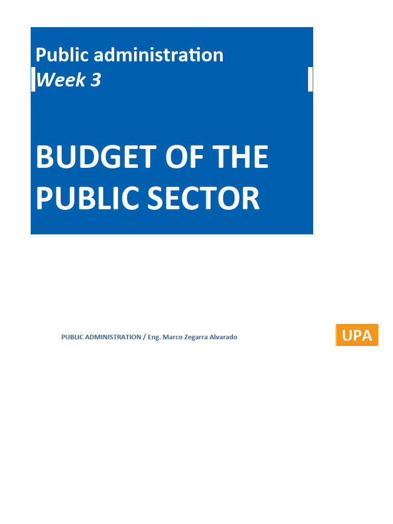 Public Sector Budget | PDF | Budget | Government Budget