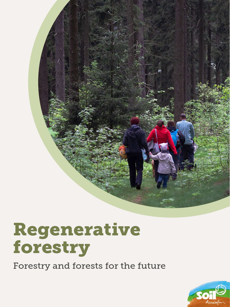 Regenerative Forestry Report Final | PDF | Forestry | Forests