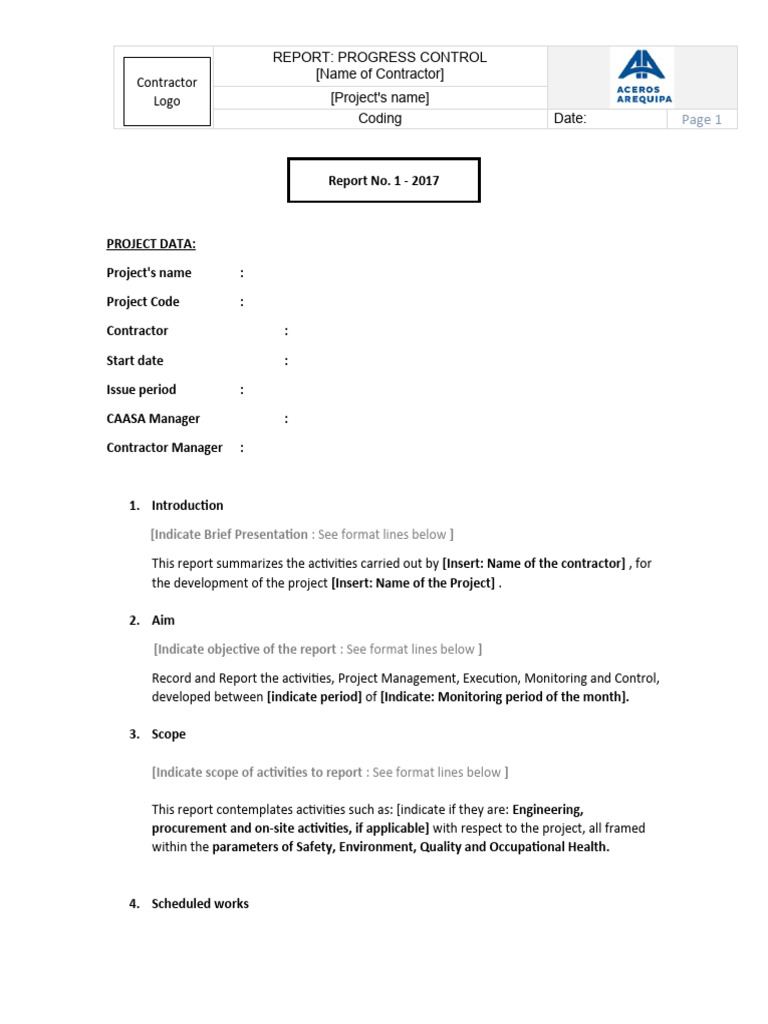 Progress Control Report FORMAT (- Progress) | PDF | Procurement | Project Management