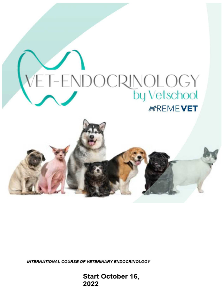 Vet-Endocrinology Vetschoolremevet 20222023 | PDF | Residency (Medicine ...
