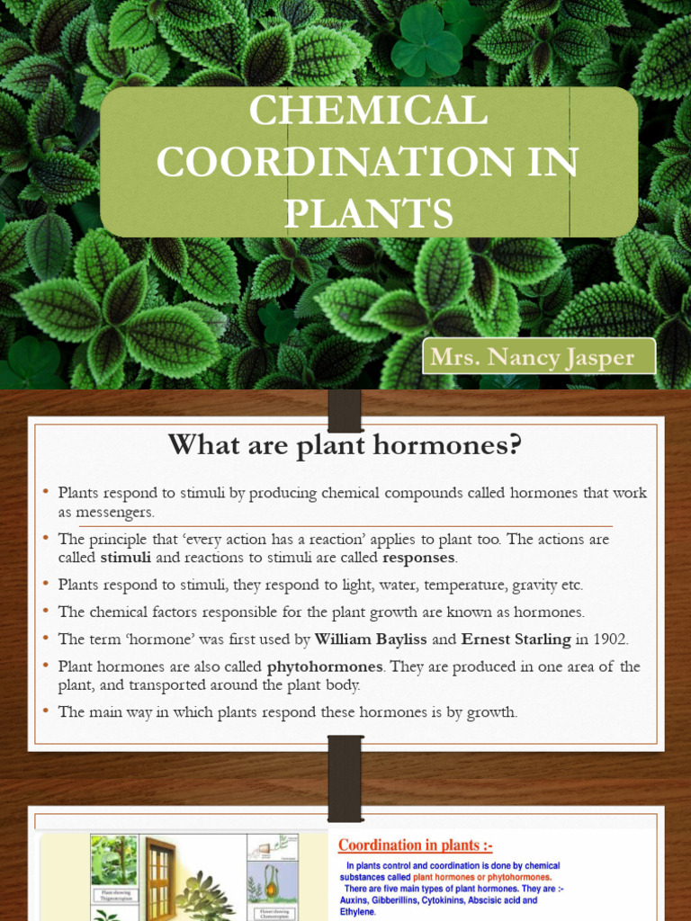 Chapter 7 Chemical Coordination in Plants | PDF | Auxin | Plant Hormone
