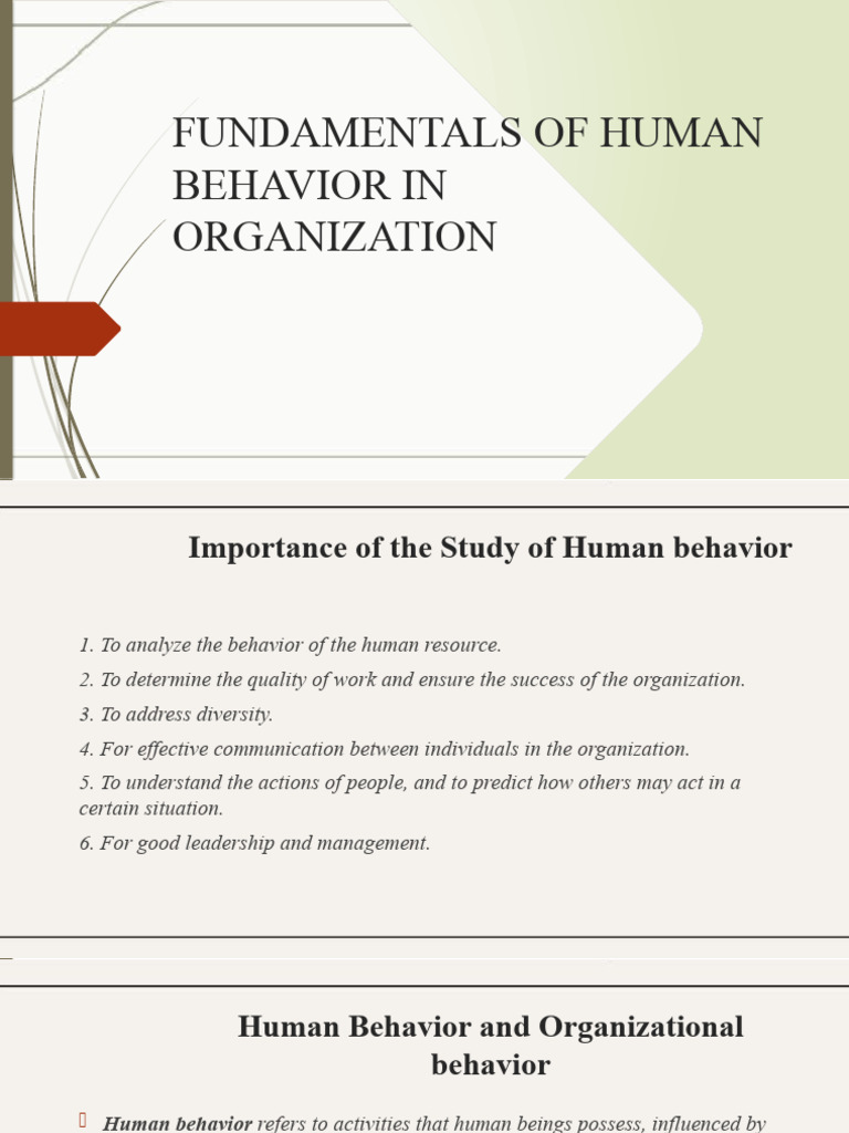 Human Behavior in Organization | PDF | Human Behavior | Behavior