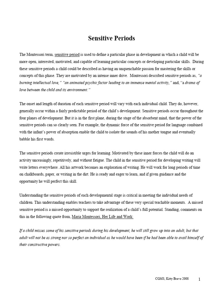 Sensitive Periods | PDF | Language Development | Imagination