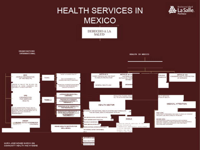 Health Services in Mexico - Concept Map | PDF | Health Care | World ...