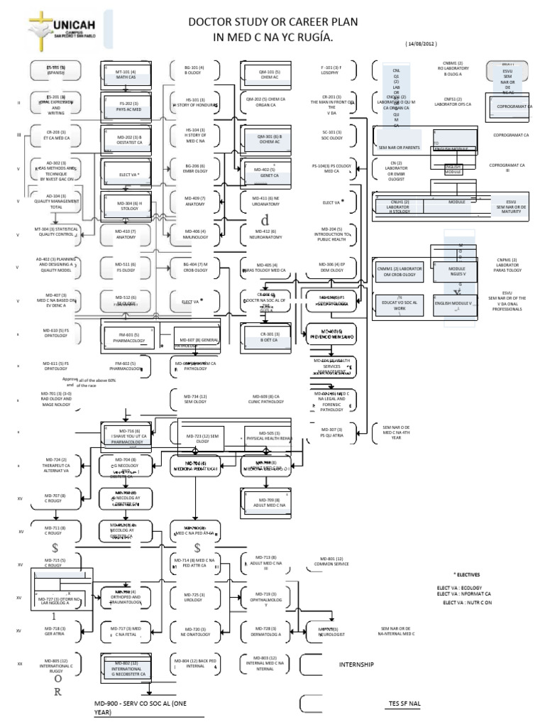 Medicine and Surgery Study Plan PDF | PDF | Social Programs | Medical ...
