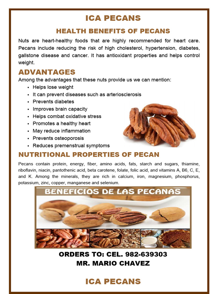 Health Benefits of Pecans | PDF | Nut (Fruit) | Nutrients