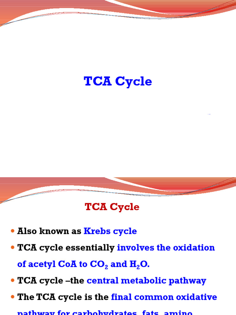 Abhishek Jha - TCA Cycle - Inhibition & Regulation | PDF | Diet & Nutrition | Chemistry