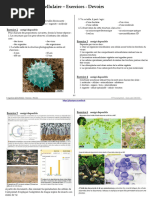 Livre SVT Seconde Bordas 2019 | PDF