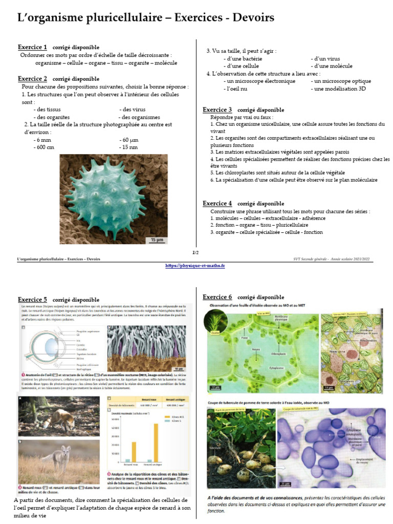 Organisme Pluricellulaire Exercices | PDF | Cellule (Biologie) | Organismes