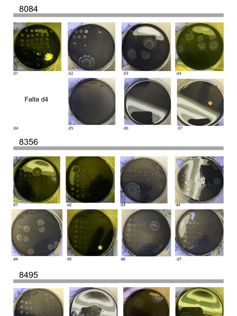 Experimento Xylella Fastidiosa | PDF