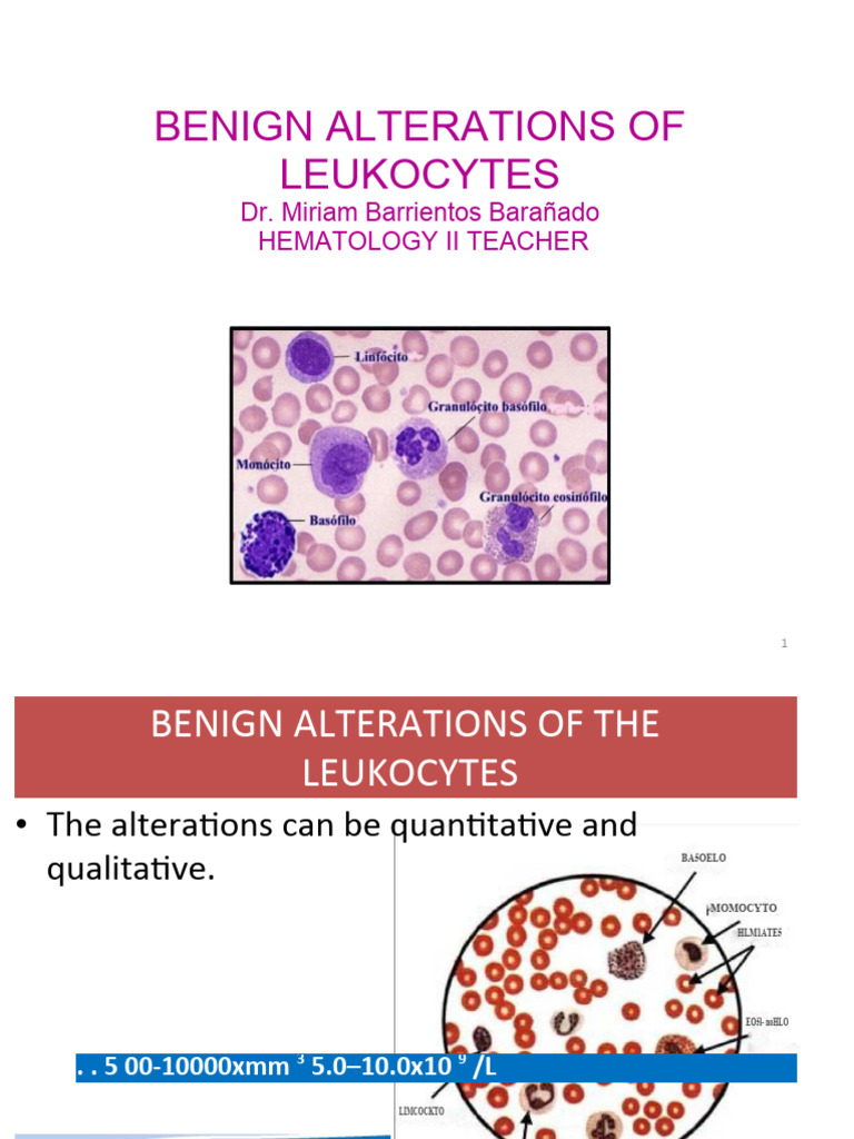 Benign Leukocyte Alterations | PDF | White Blood Cell | Lymphocyte