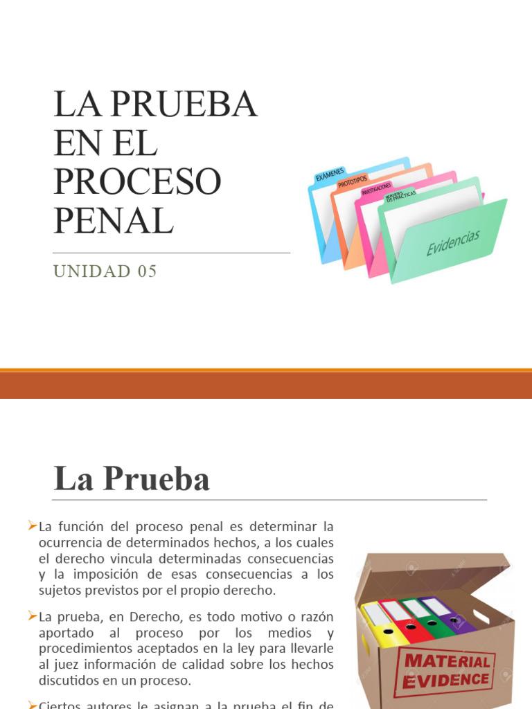 Unidad 05 La Prueba en El Proceso Penal | PDF | Evidencia (ley) | Lógica