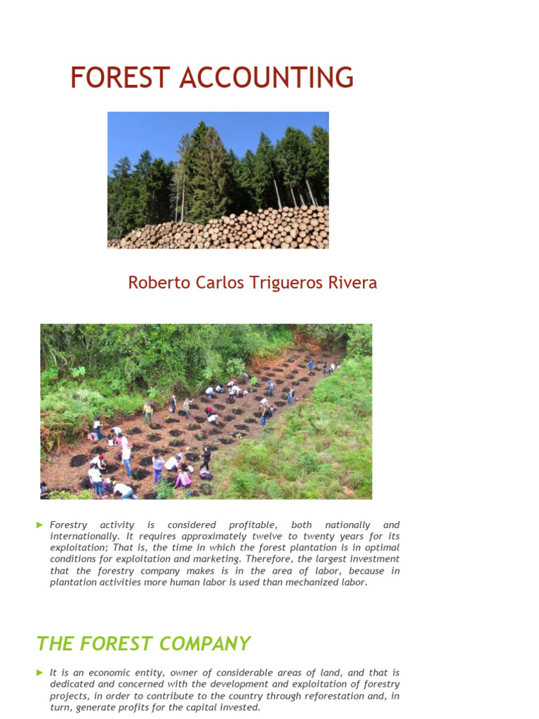 Forest Accounting | PDF | Forestry | Forests