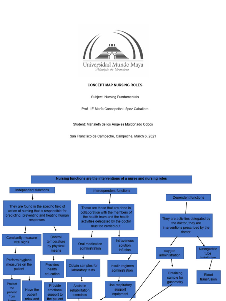 Conceptual Map of Nursing Roles and Functions | PDF | Nursing ...