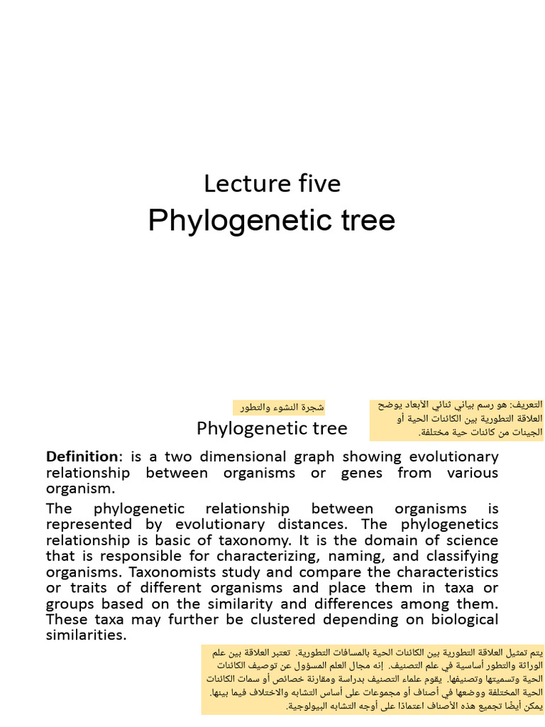 Phylogenetic Tree: Lecture Five | PDF | Homology (Biology) | Phylogenetics