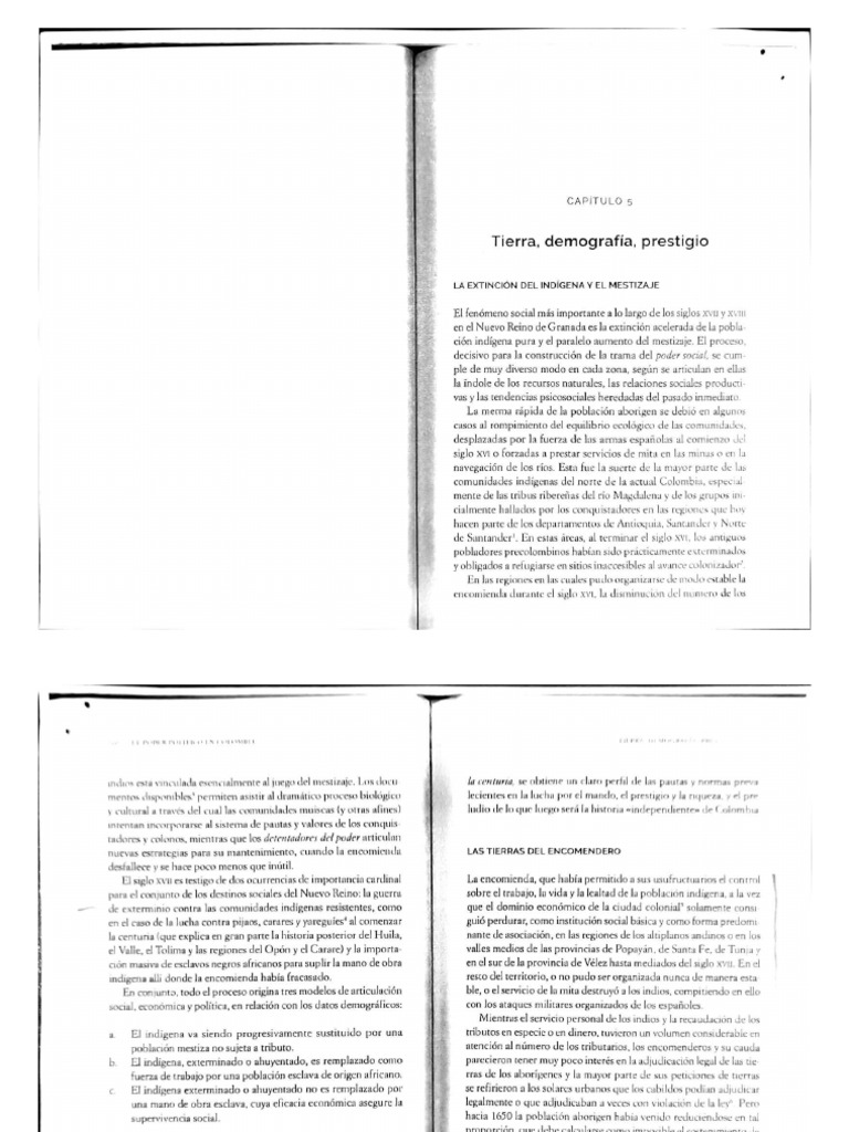 Guillén - Capitulo 5 | PDF