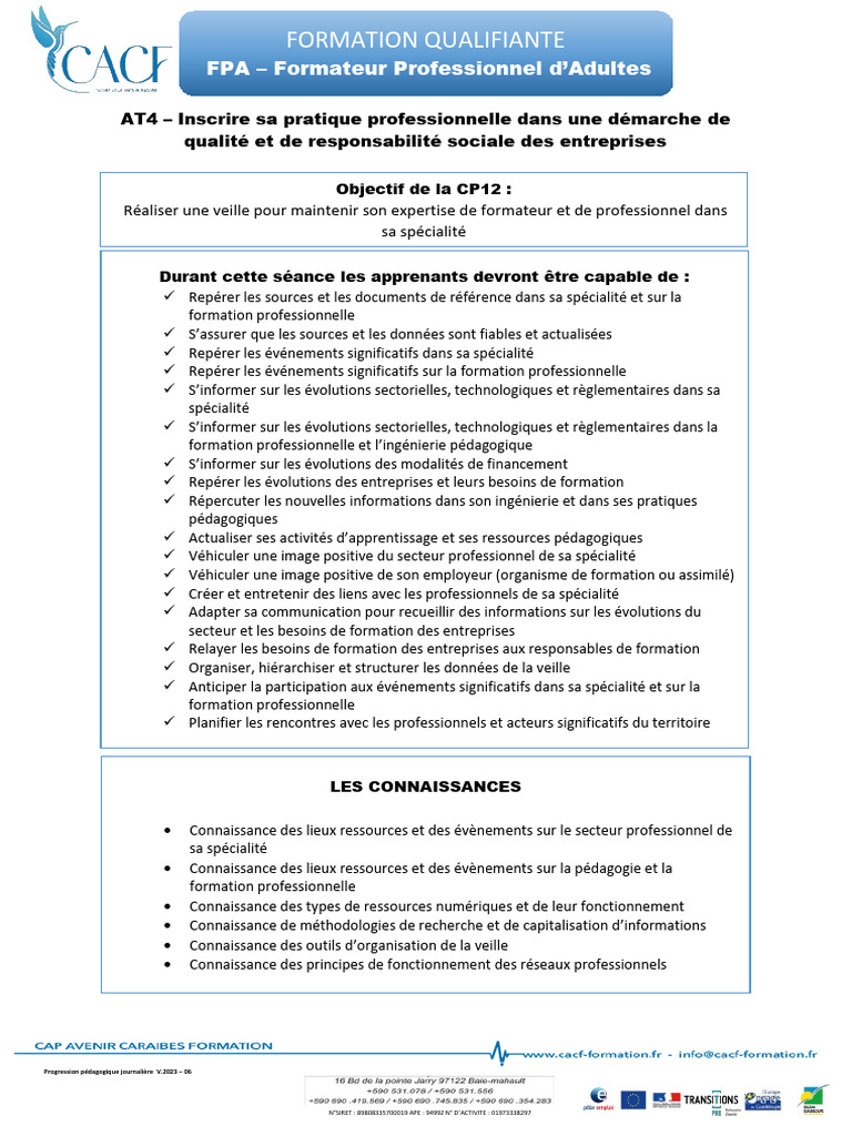 Veille Pédagogique pour Formateurs | PDF | Pédagogie | Facilitateur