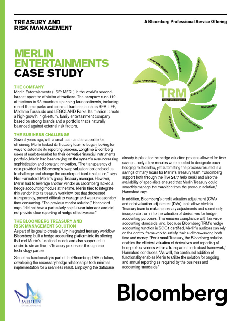 Case Study Merlin | PDF | Financial Services | Business