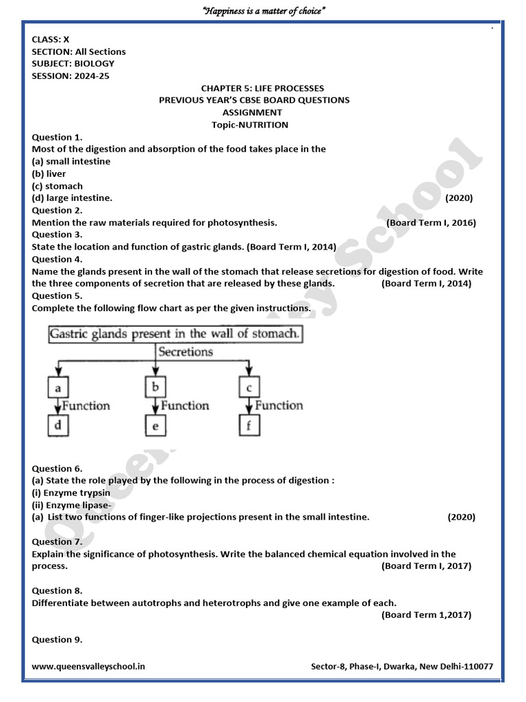 Class - X - Science (Biology) Chapter - 5 - Life - Processes ...