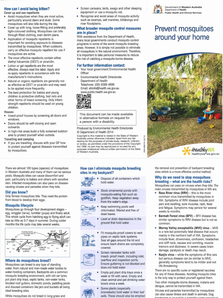 Preventing Mosquitoes Flyer | Download Free PDF | Mosquito | Medical ...