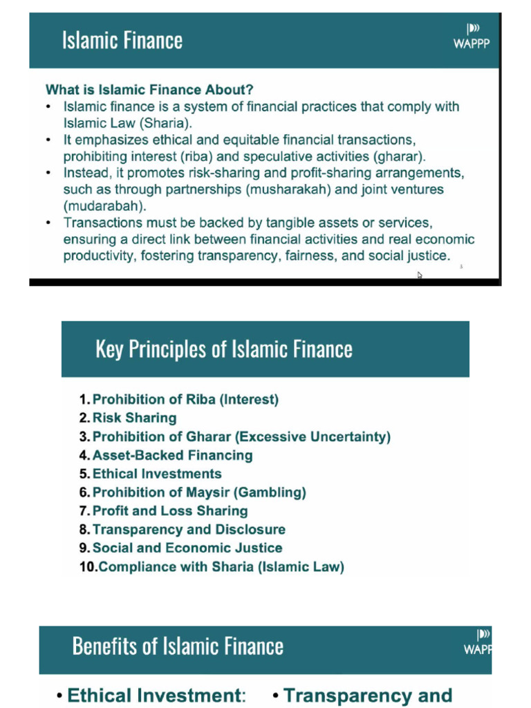 Islamic Financing | PDF