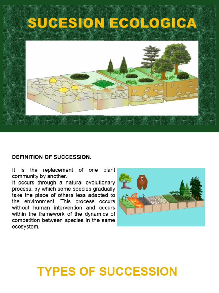 ECOLOGICAL Succession | PDF | Ecology | Ecosystem