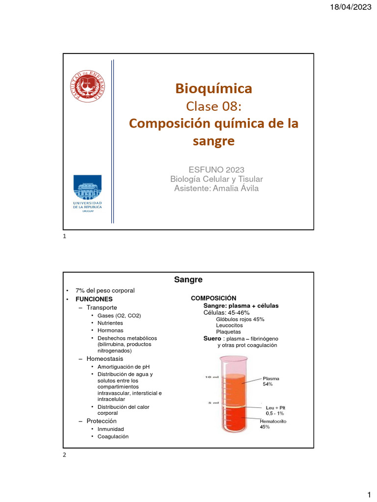 Composición y Funciones de la Sangre | PDF | Sangre | Hemoglobina