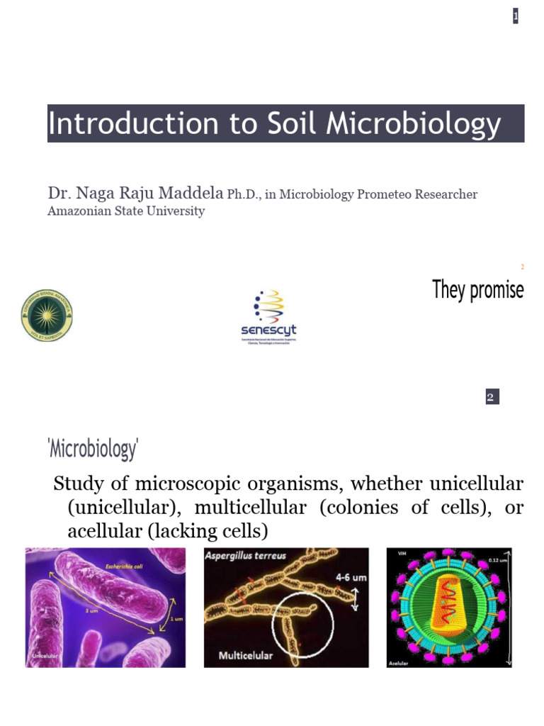 Soil Microbiology Overview by Naga Raju | PDF | Microbiology ...