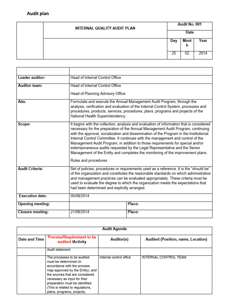 Audit Plan Format 1 | PDF | Internal Control | Audit