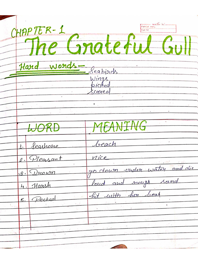 English Class 2 Chapter 1 The Grateful Gull | PDF