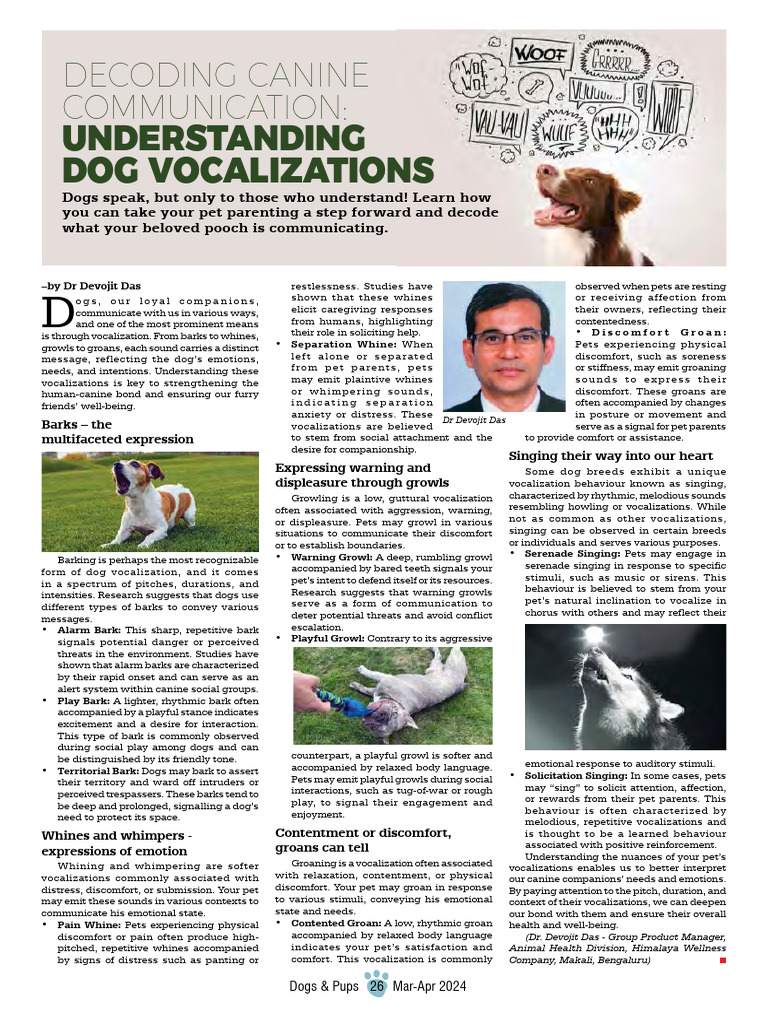 119 Mag-Dogs&Pups and Cats | PDF | Dogs | Pet