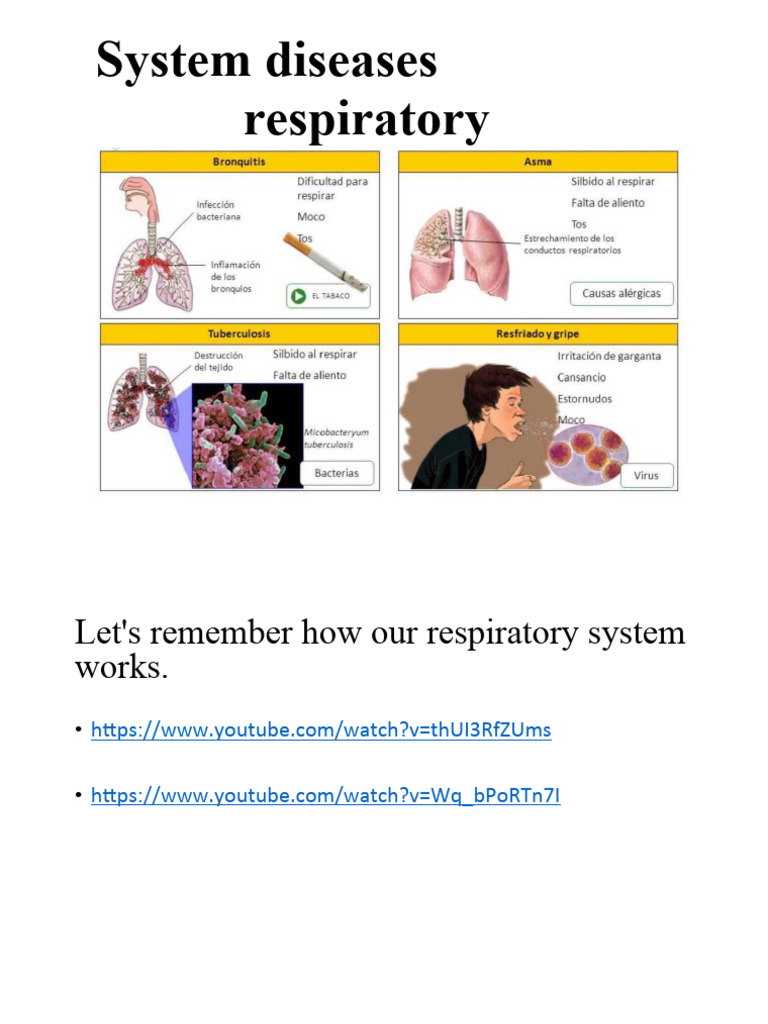 Diseases of The Respiratory System | PDF | Bronchitis | Respiratory ...