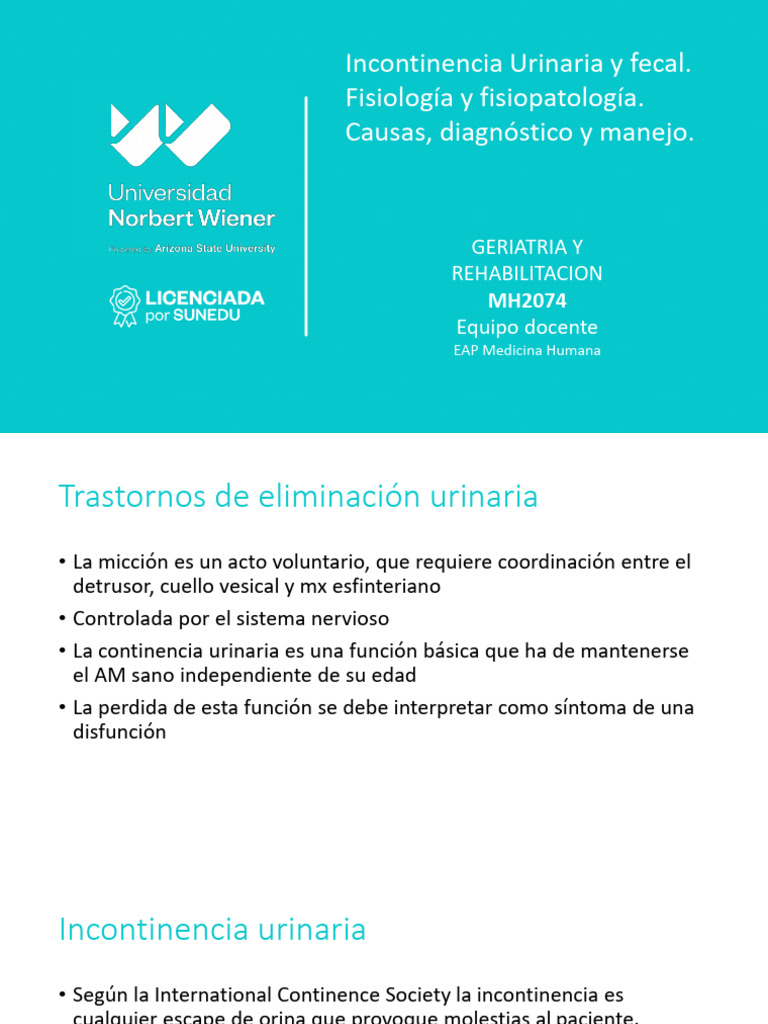 Incontinencia Urinaria y Fecal: Causas y Manejo | PDF | Medicina | Urología