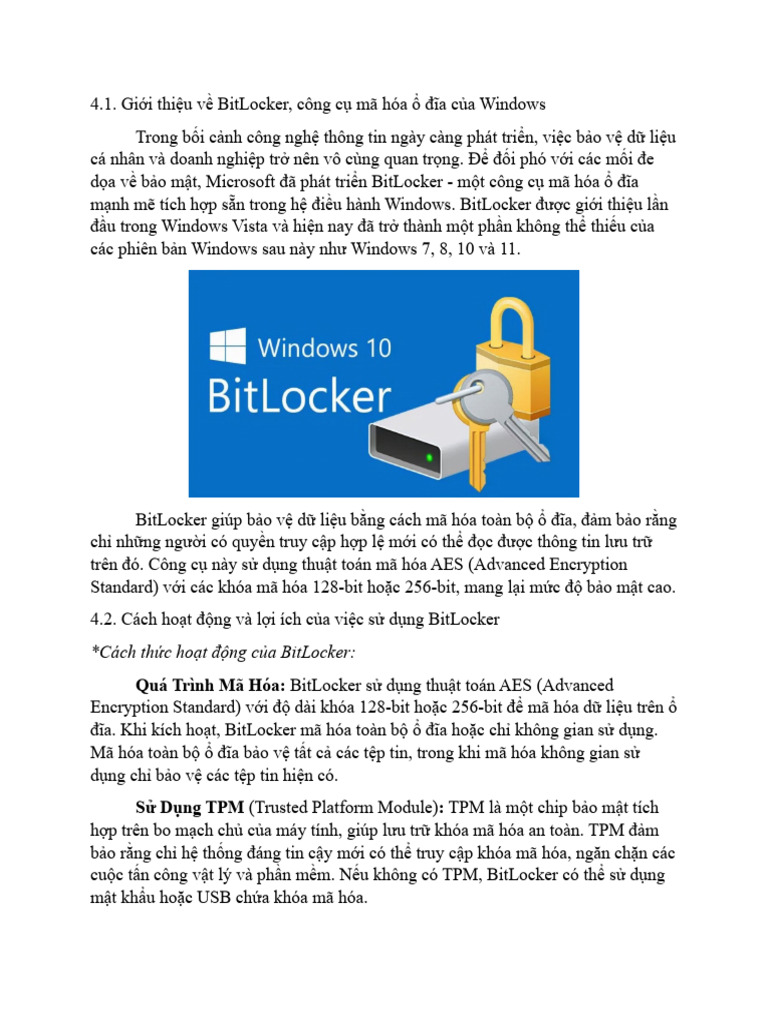 *Cách Thức Hoạt Động Của Bitlocker:: Quá Trình Mã Hóa: Bitlocker Sử Dụng Thuật Toán Aes ...