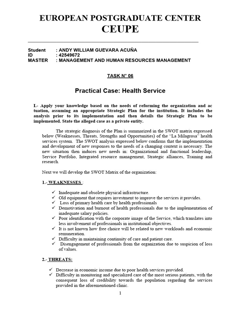 Strategic Plan for Health Service Reform | PDF | Strategic Planning ...