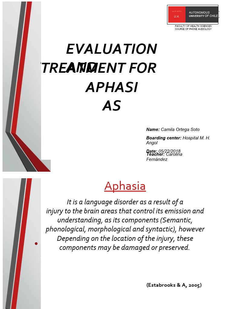 Language Assessment | PDF | Aphasia | Speech