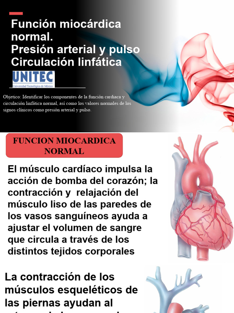 fUNCION CARDIACA NORMAL | PDF | Corazón | Sistema linfático