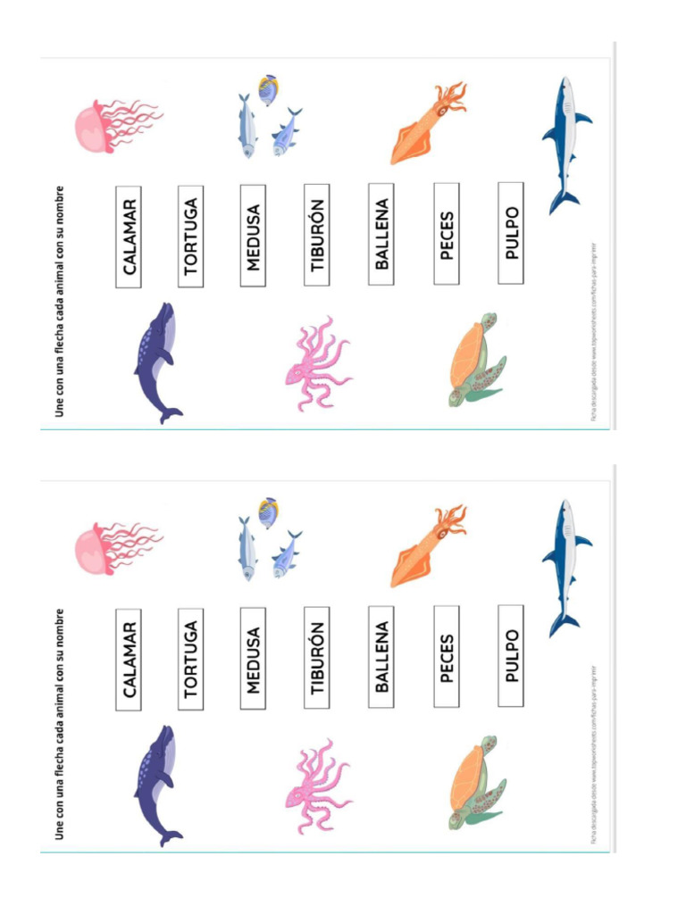 Actividades Animales Acuáticos | PDF