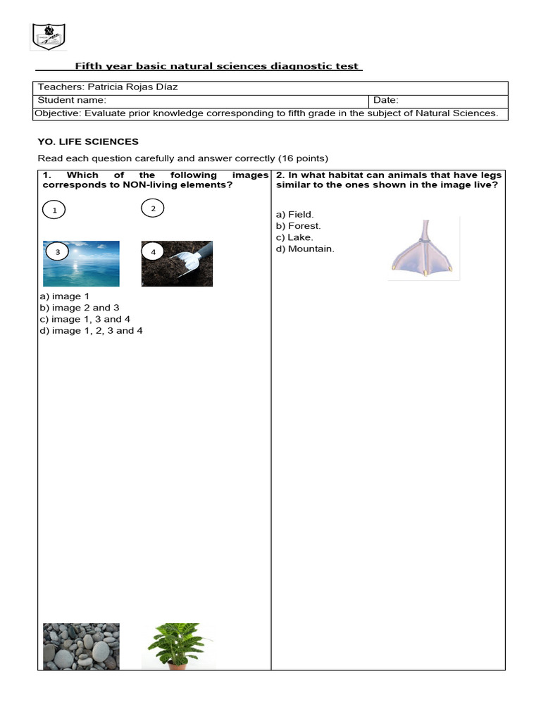 Science-Diagnostic-Test 5th | PDF | Earth | Skeleton
