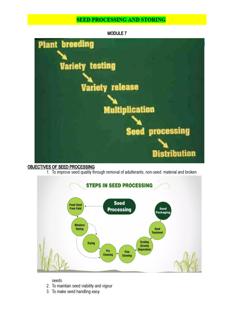 Module 7 Seed Processing and Storing | PDF | Seed | Rice